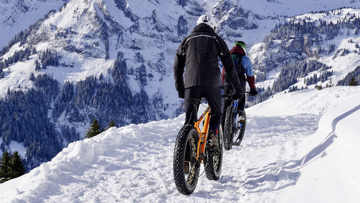 Bike Festival