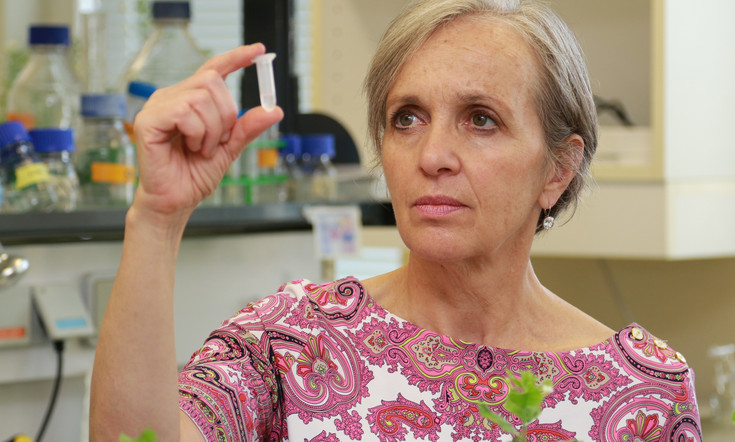 Der Countdown läuft