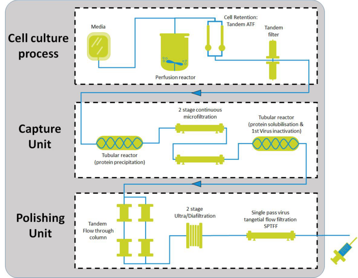 Downstream Development For An Integrated Continuous Manufacturing