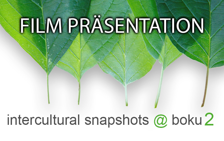 Invitation: Film Screening